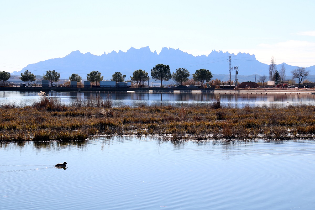 Manresa tancarà el Parc de l’Agulla tres setmanes per buidar el llac i ...